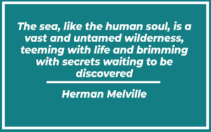 27 Top Moby Dick Quotes (with Explanation) - Life Success Journal