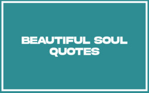 27 Top Beautiful Soul Quotes (with Explanation) - Life Success Journal