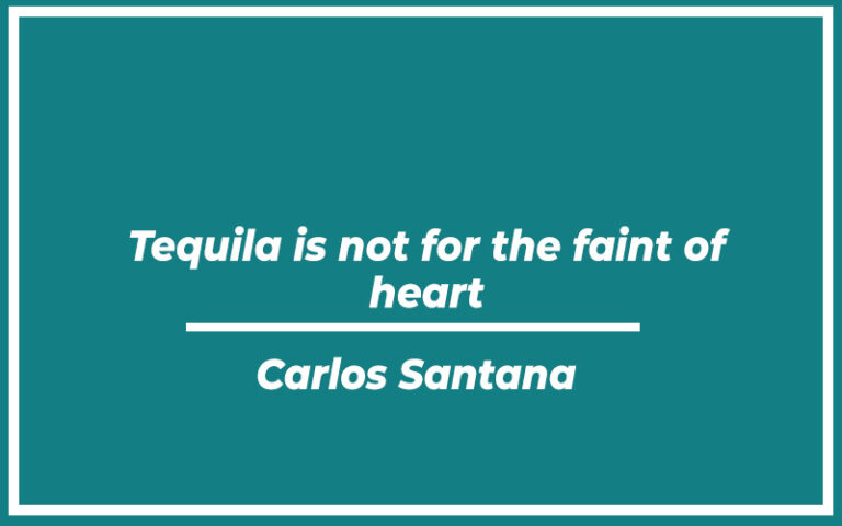 27 Top Garfield Quotes (with Explanation) - Life Success Journal