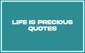 27 Top Life is Precious Quotes (with Explanation) - Life Success Journal