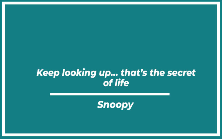 27 Top Snoopy Quotes (with Explanation) - Life Success Journal