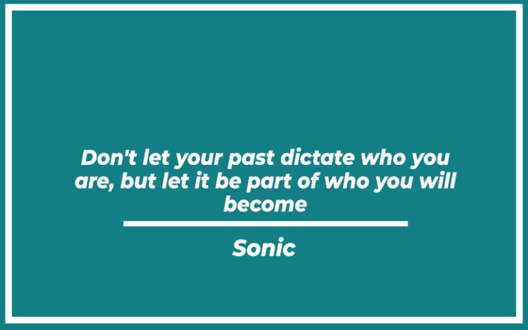 27 Top Sonic Quotes (with Explanation) - Life Success Journal