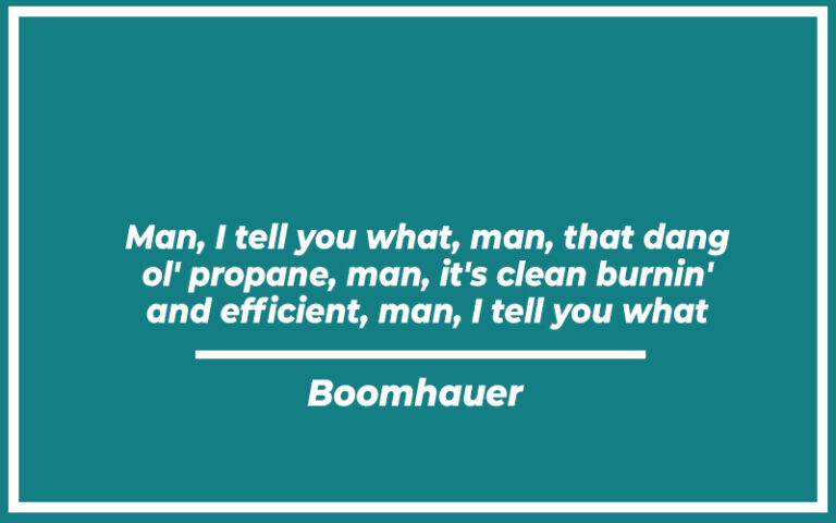 27 Top Boomhauer Quotes (with Explanations) - Life Success Journal