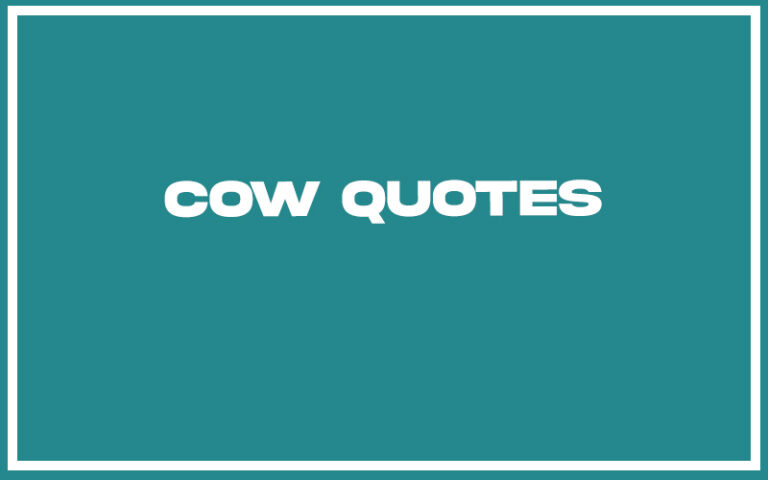 27 Top Cow Quotes (with Explanation) - Life Success Journal