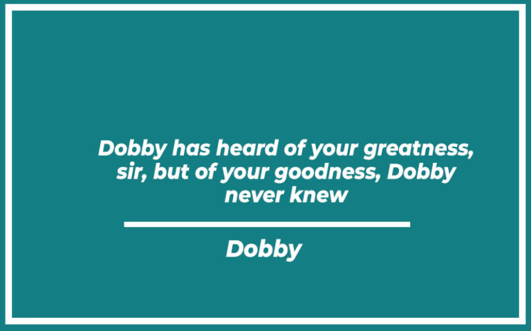 27 Dobby Quotes (with Explanations) - Life Success Journal