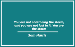 27 Top I am The Storm Quotes (with Explanations) - Life Success Journal