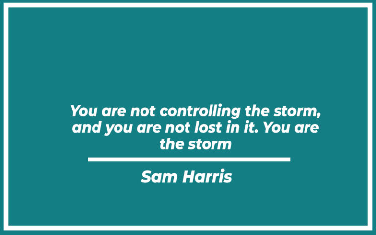 27 Top I am The Storm Quotes (with Explanations) - Life Success Journal