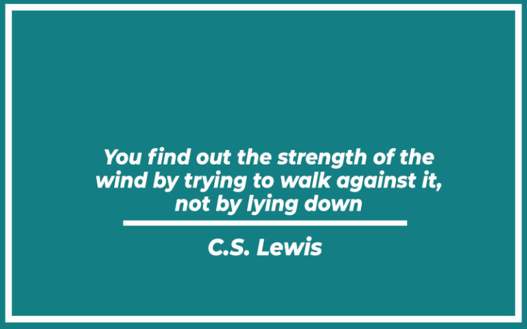 27 Top Wind Quotes (with Explanation) - Life Success Journal