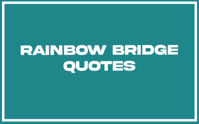 27 Top Rainbow Bridge Quotes (with Explanation) - Life Success Journal