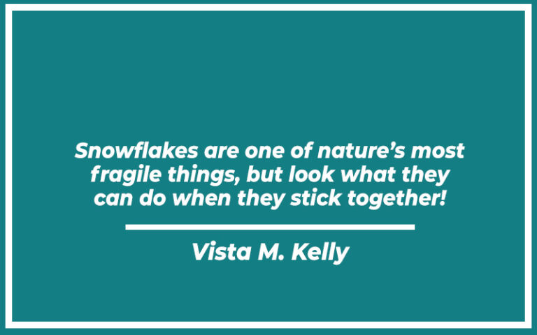 27 Top Snowflakes Quotes (with Explanation) - Life Success Journal