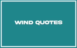 27 Top Wind Quotes (with Explanation) - Life Success Journal