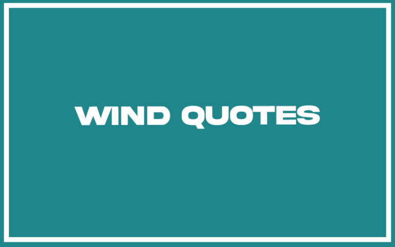 27 Top Wind Quotes (with Explanation) - Life Success Journal