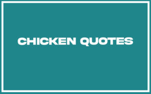 113 Best Chicken Quotes (with Commentary) - Life Success Journal