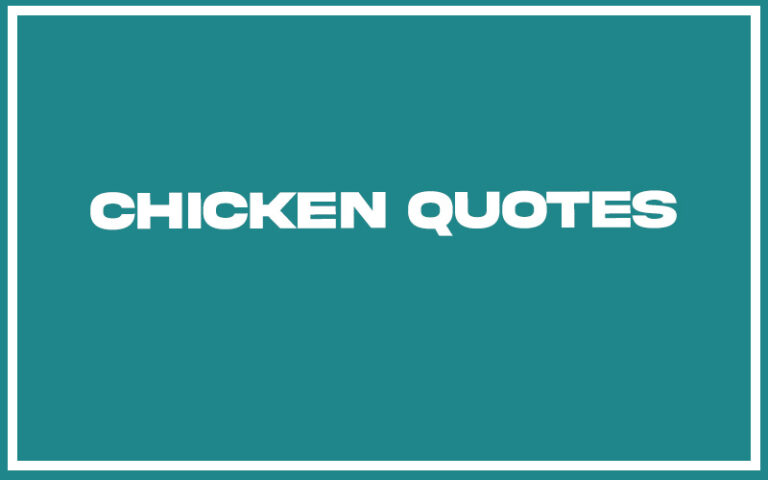 113 Best Chicken Quotes (with Commentary) - Life Success Journal