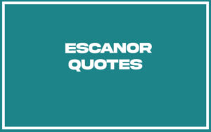 27 Top Escanor Quotes (with Explanation) - Life Success Journal