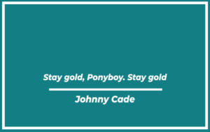 27 Top Ponyboy Quotes (with Explanation) - Life Success Journal
