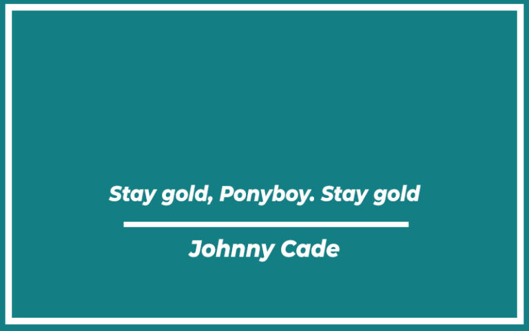 27 Top Ponyboy Quotes (with Explanation) - Life Success Journal