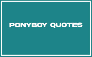 27 Top Ponyboy Quotes (with Explanation) - Life Success Journal