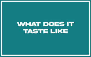 What Does Snake Meat Taste Like (with Reviews) - Life Success Journal